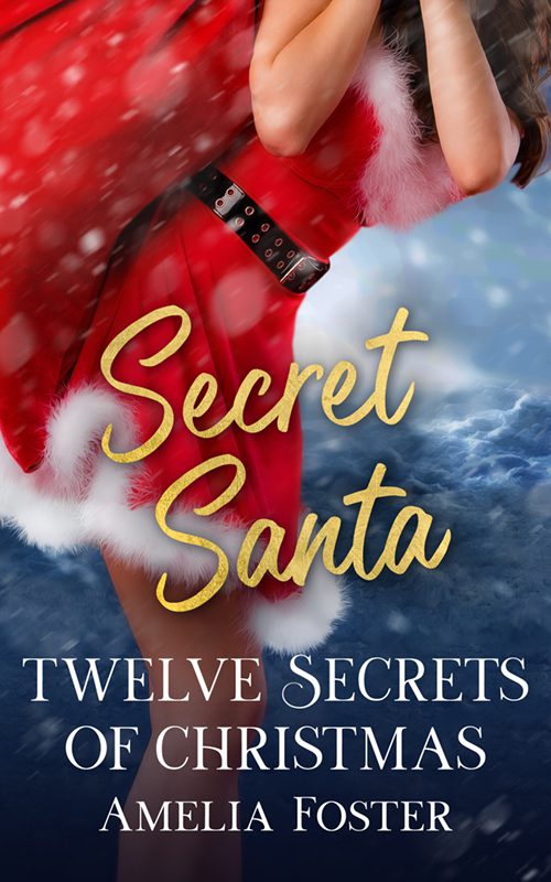 Her Special Ops Santa by Aurora Russell & Twelve Secrets of Christmas ...