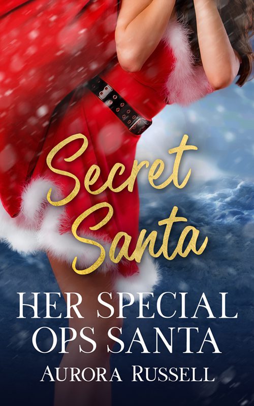 Her Special Ops Santa by Aurora Russell & Twelve Secrets of Christmas ...